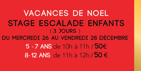 Stage d'escalade / Modjo Escalade | Kidiklik